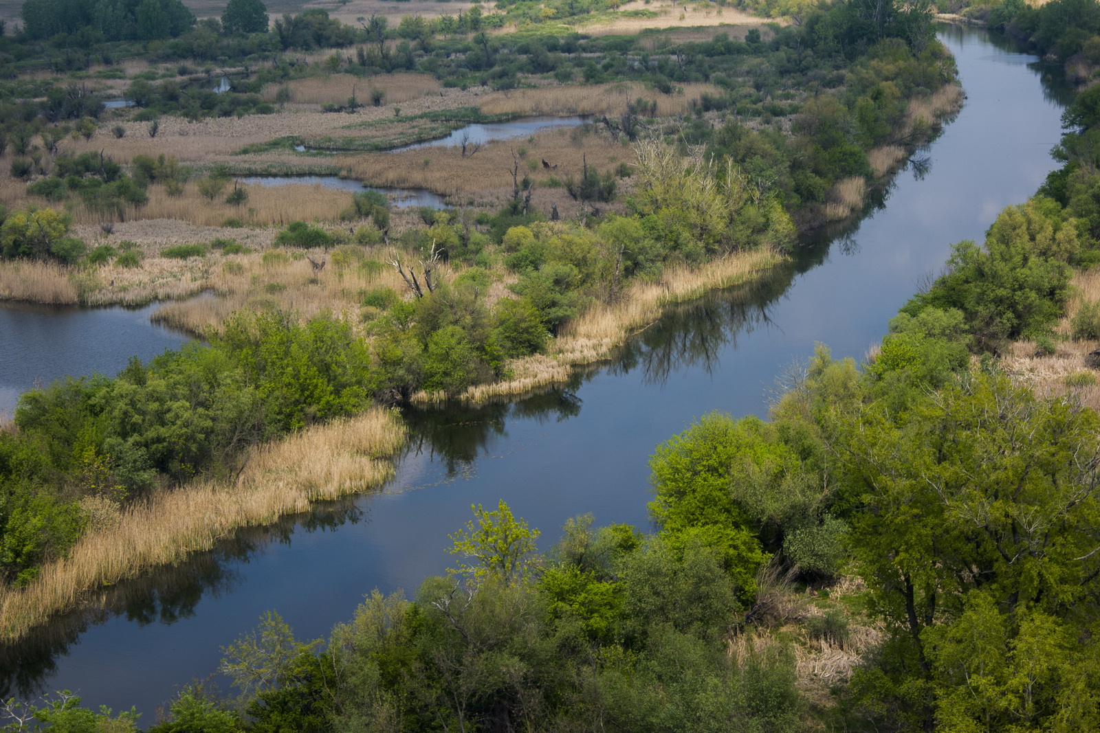 Značaj voda i reka - Održivost