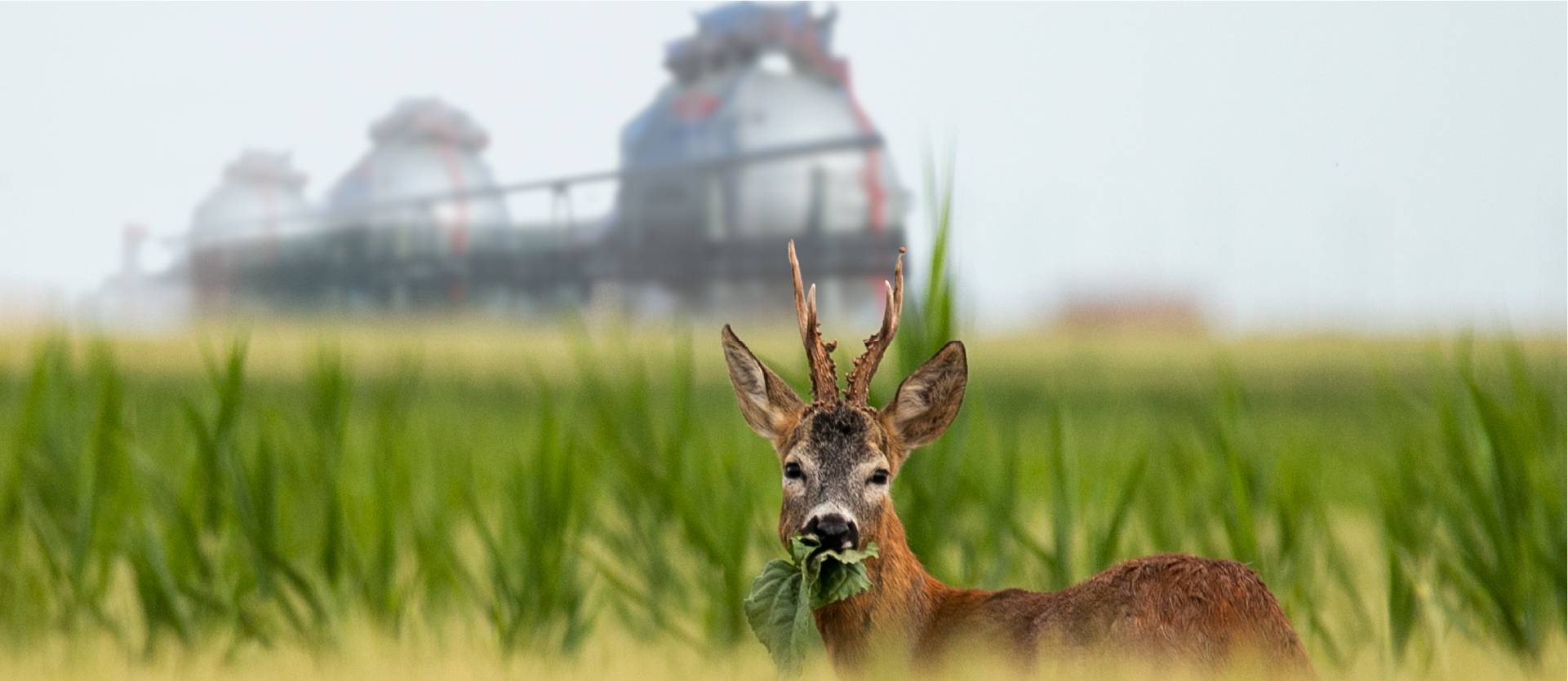 Svetski dan zaštite prirode - Održivost